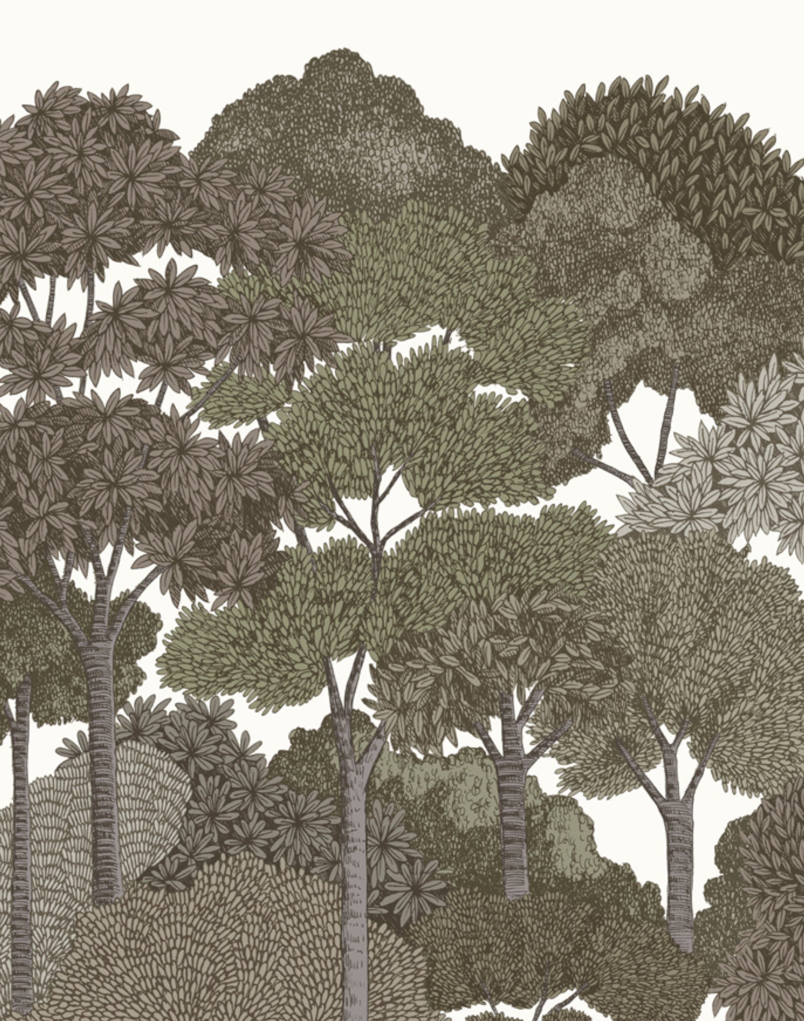 Canopy MAC067 – The Pattern Collective