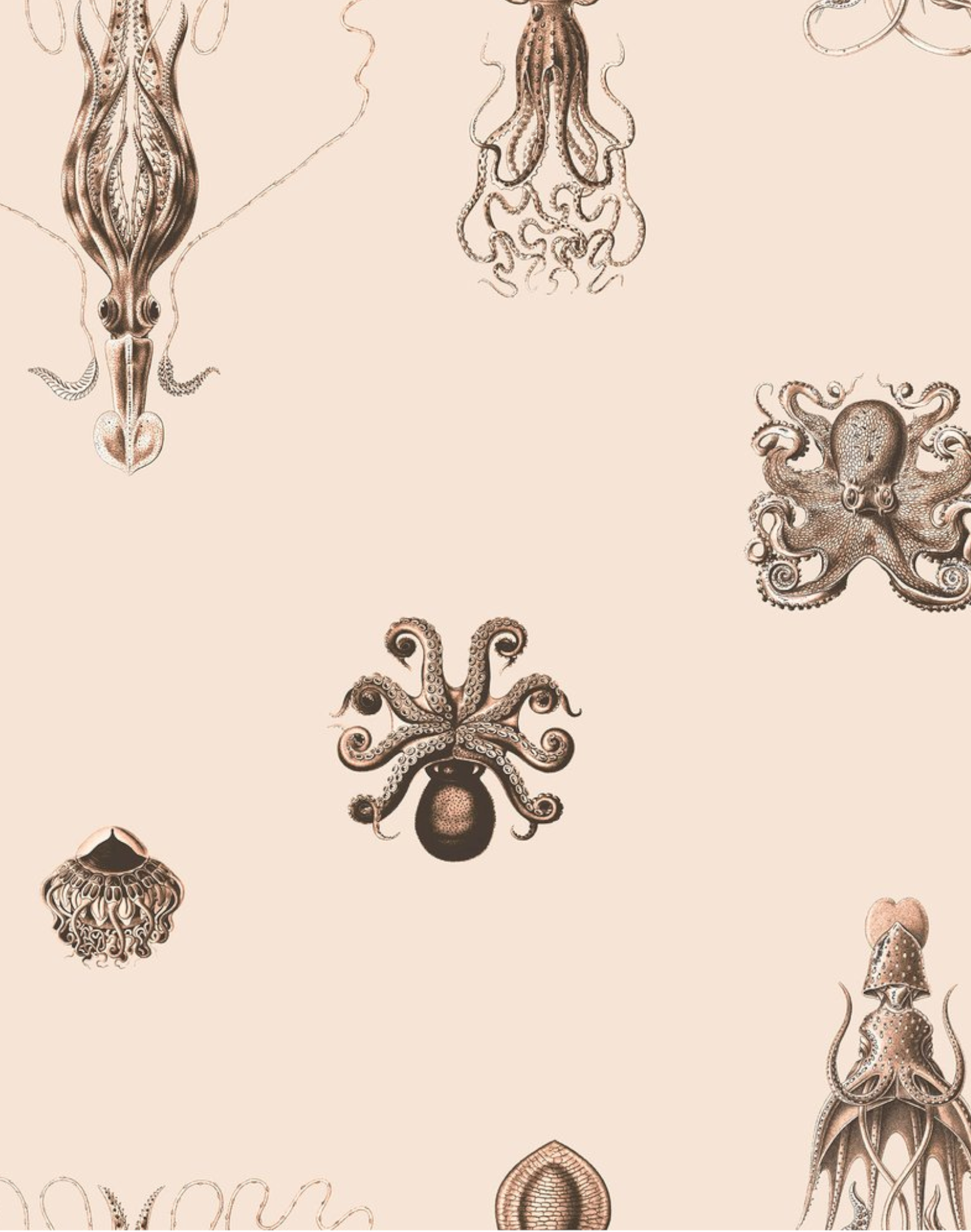 Consortium, Sepia – The Pattern Collective