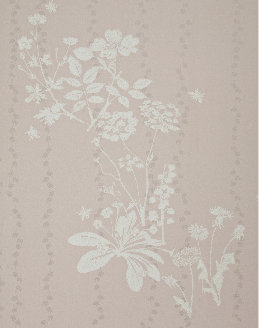 Wild Meadow, Plaster – The Pattern Collective