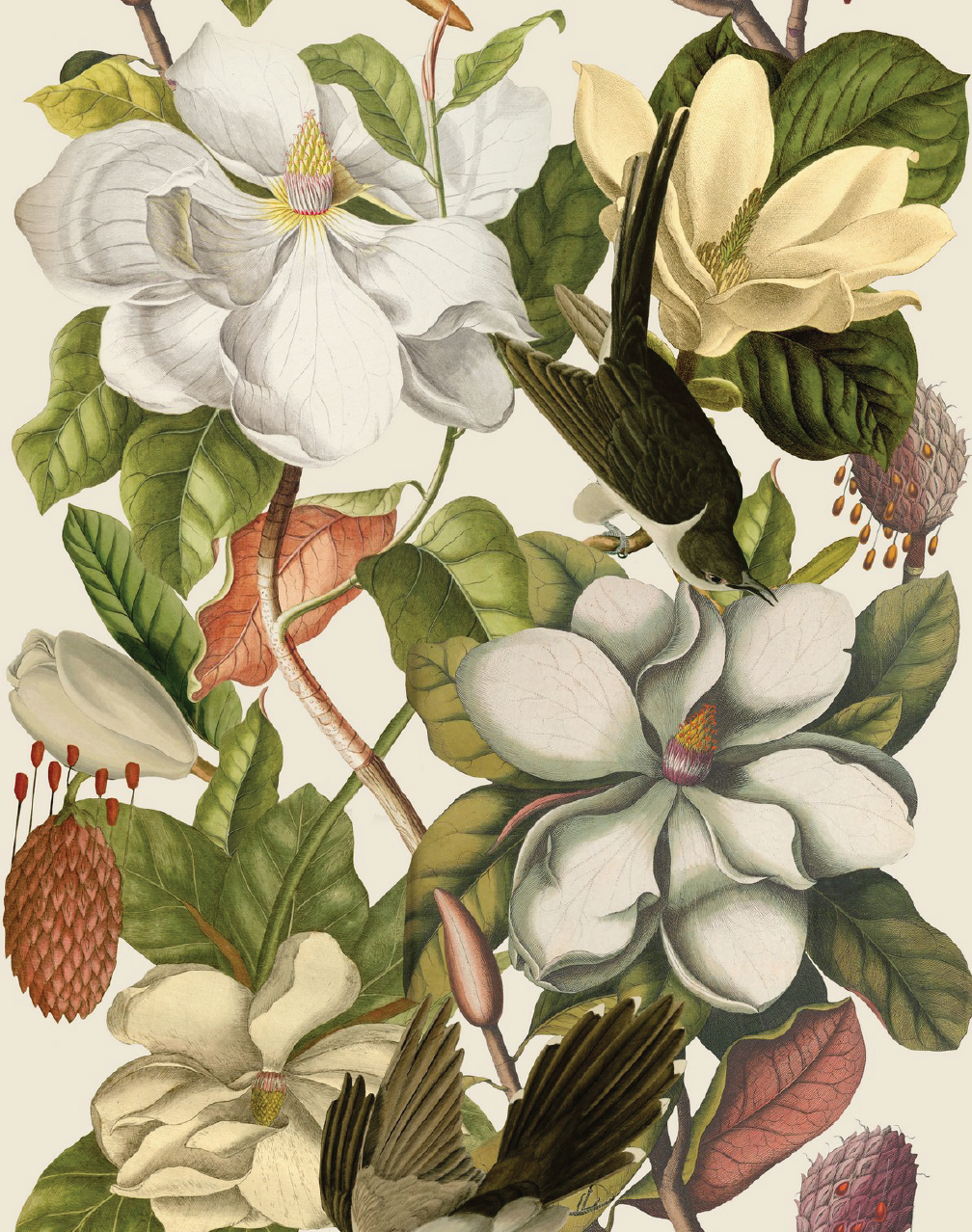 magnolia pattern wallpaper