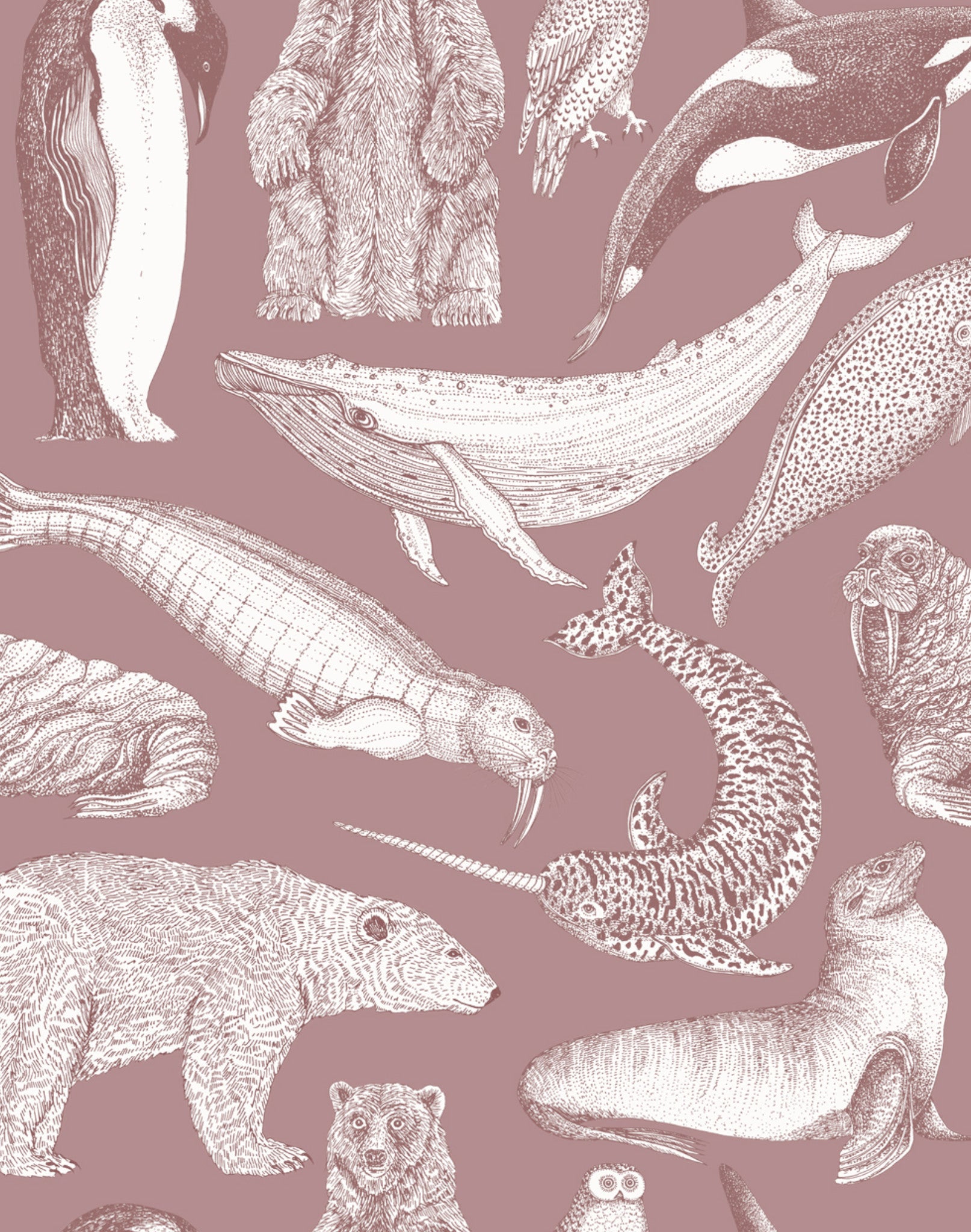 Arctic Animals MAC047 – The Pattern Collective