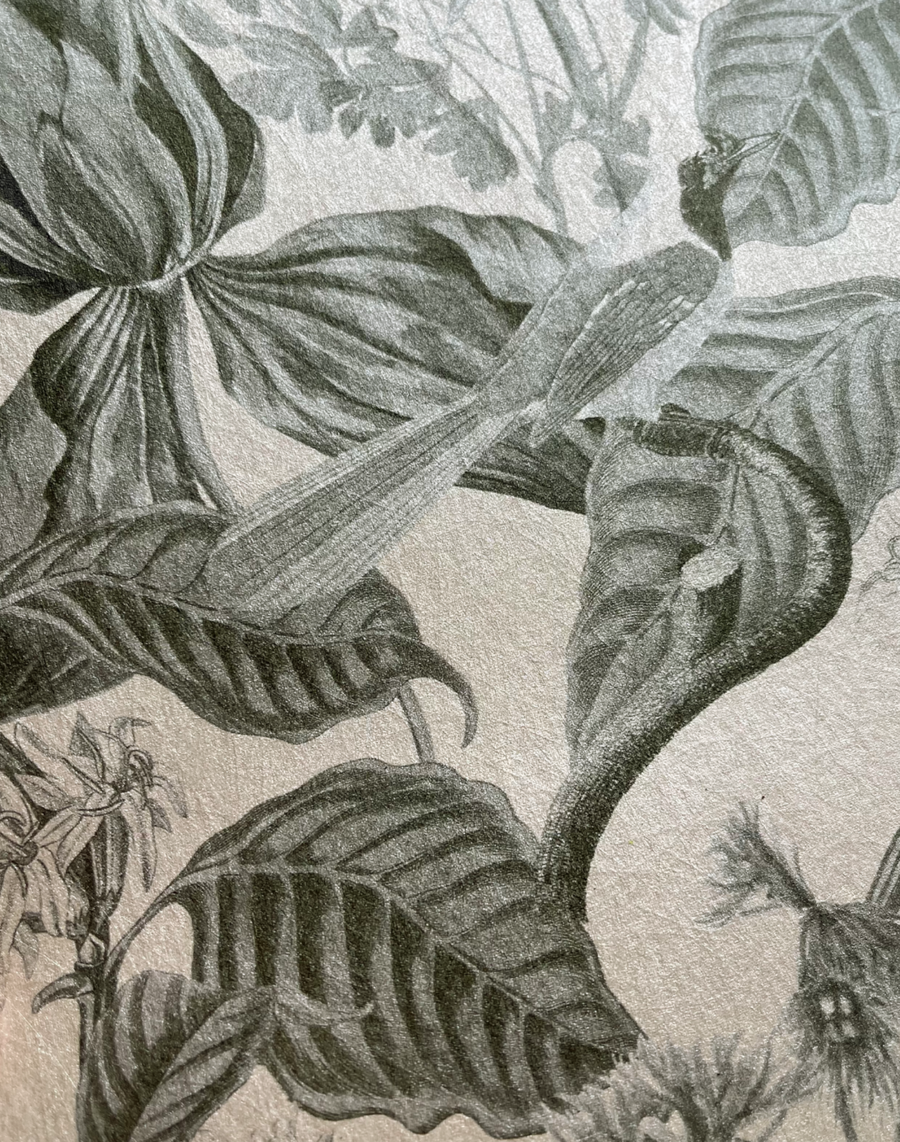 Aviary Isle, French Grey – The Pattern Collective