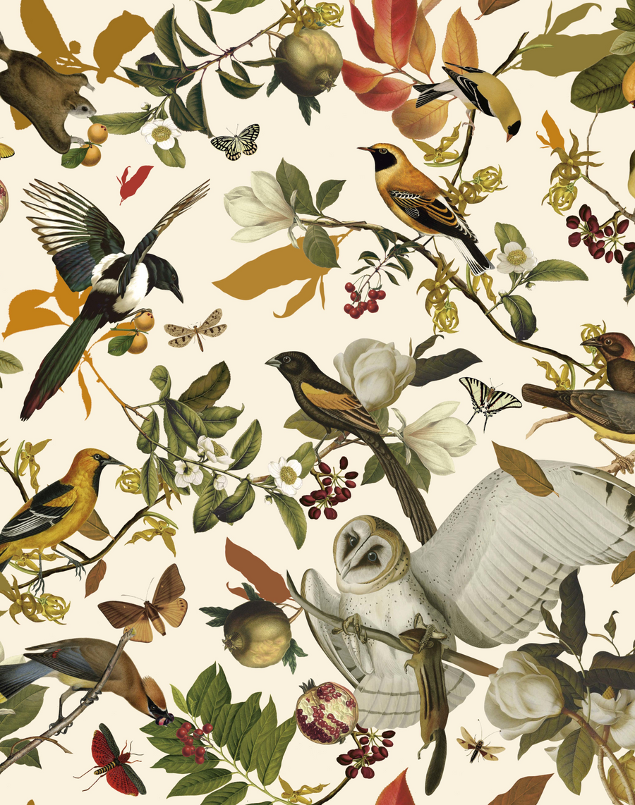 Wallpaper at The Pattern Collective – Tagged "wallpaper"– Page 46