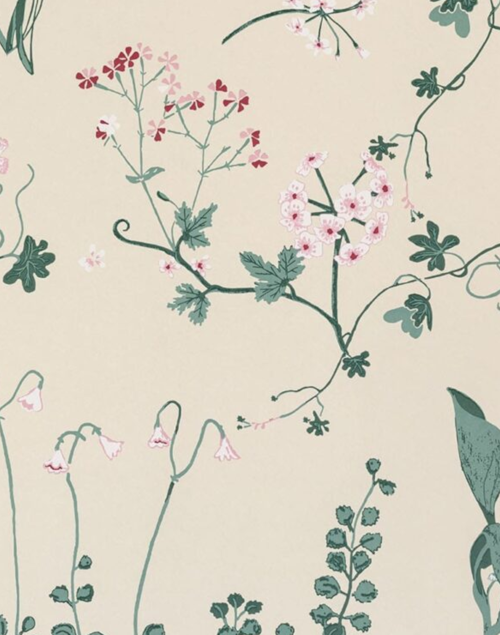 Botanica, Ivory – The Pattern Collective