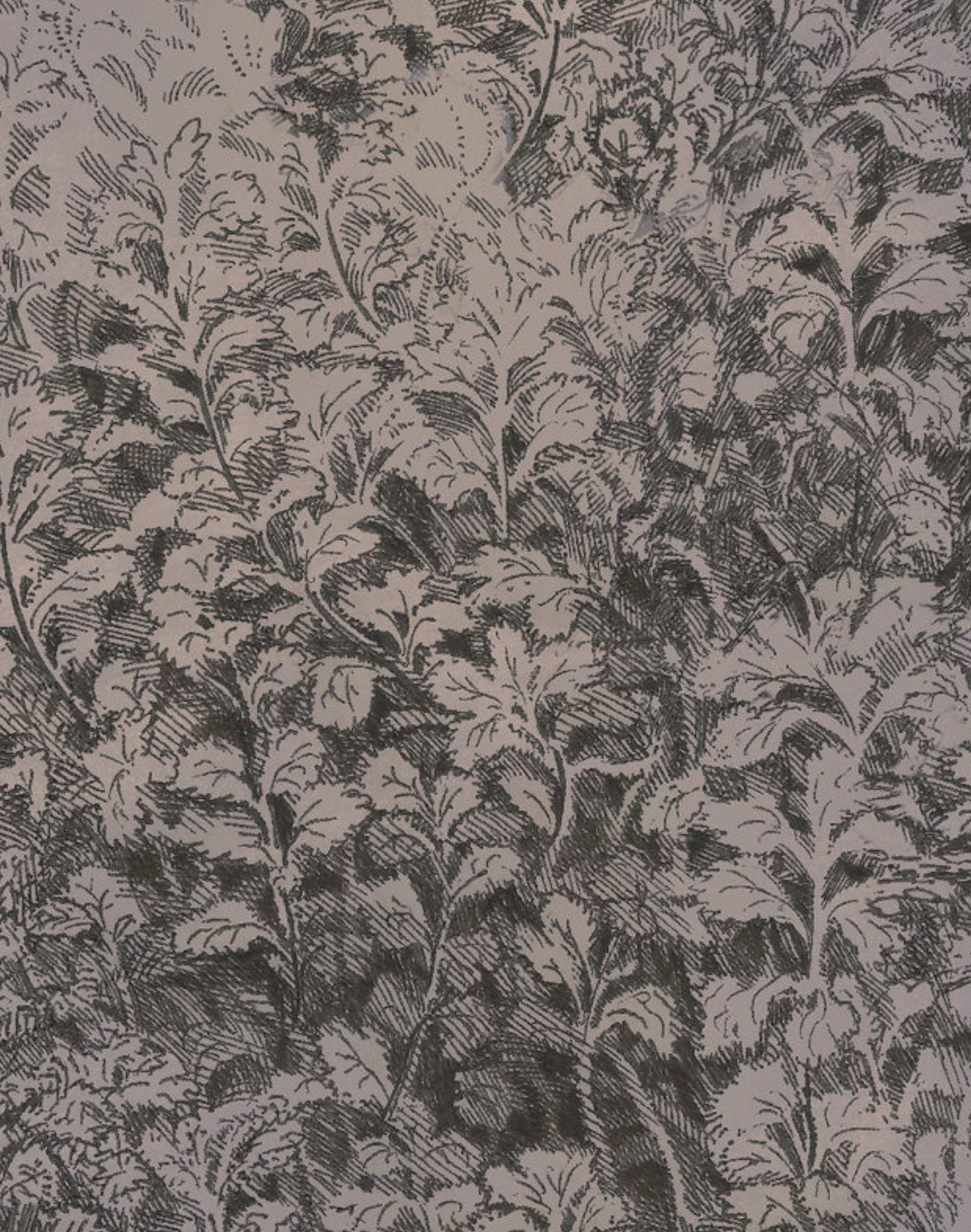 Brush, Willow – The Pattern Collective