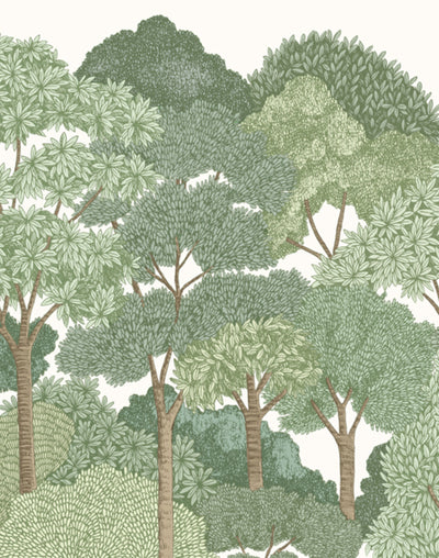 Canopy MAC071 – The Pattern Collective