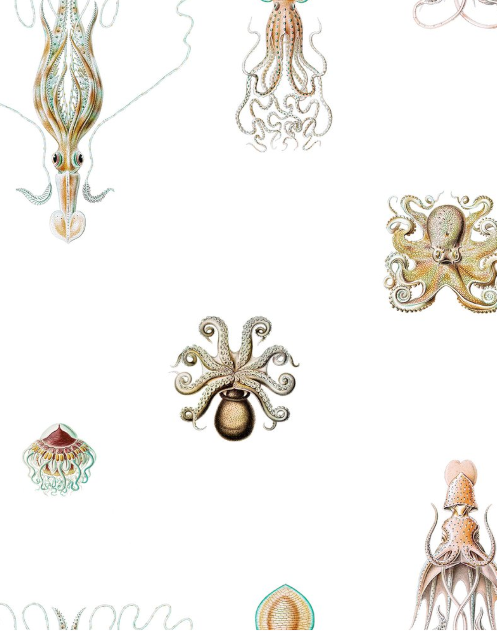 Consortium, Mimic – The Pattern Collective