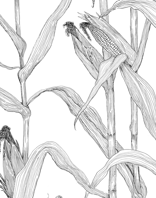 Corn Rows, Black on White – The Pattern Collective