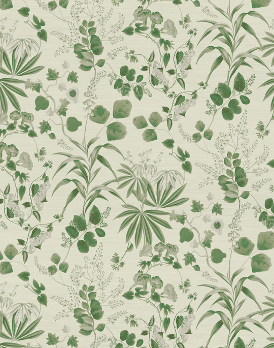 Eden, Fern – The Pattern Collective