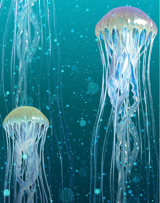 Kurage, Emerald – The Pattern Collective