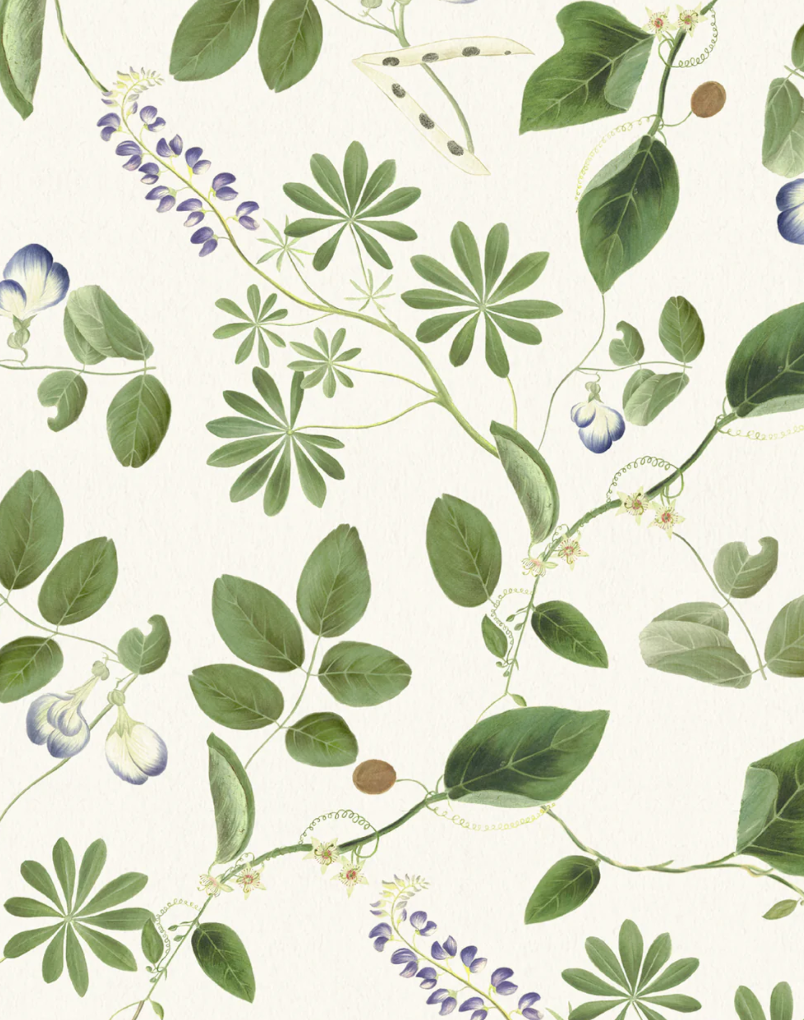 Meadowlane, Ivory – The Pattern Collective