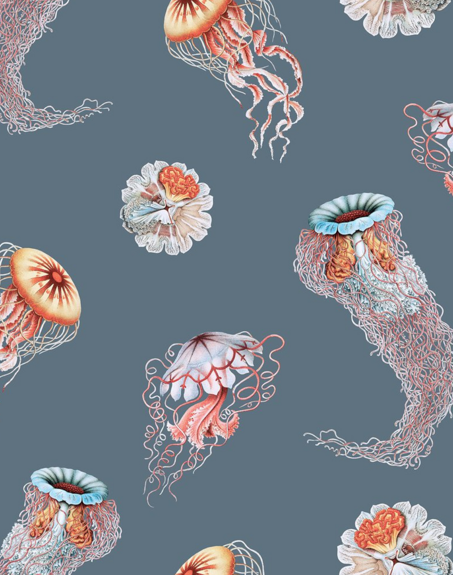 Wallpaper at The Pattern Collective – Tagged "wallpaper"– Page 3