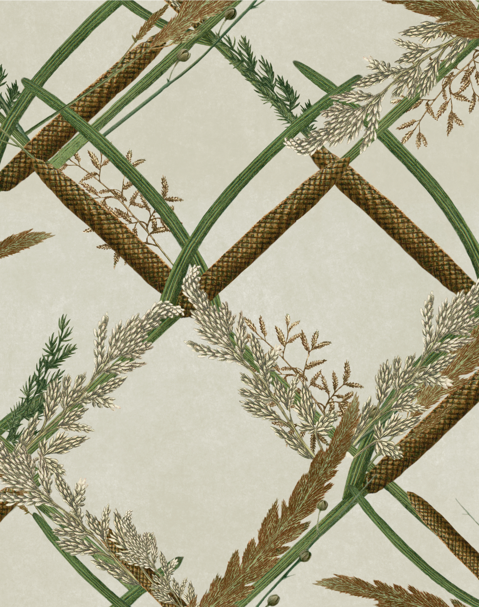 Ornamental Reed – The Pattern Collective