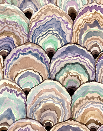 Oyster, Tide - Linen Fabric – The Pattern Collective