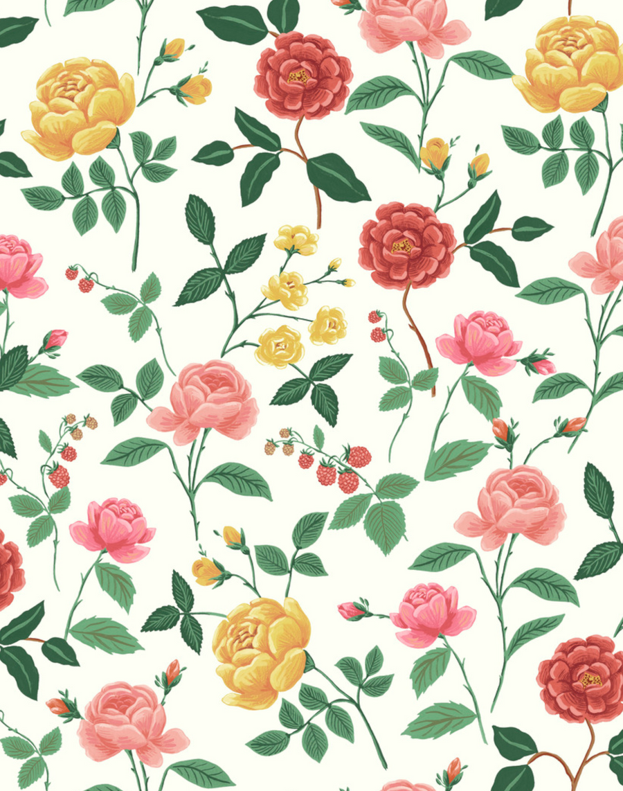 Roses White & Blush RF7546 – The Pattern Collective
