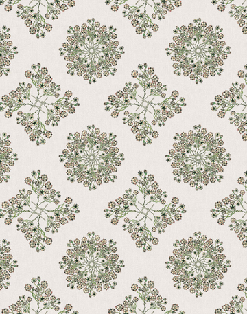 Venus Flower, Natural – The Pattern Collective