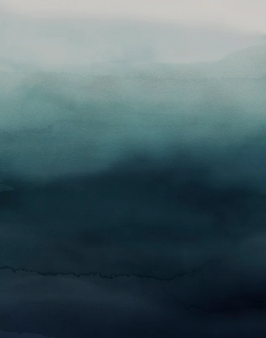 Wash, Reef – The Pattern Collective