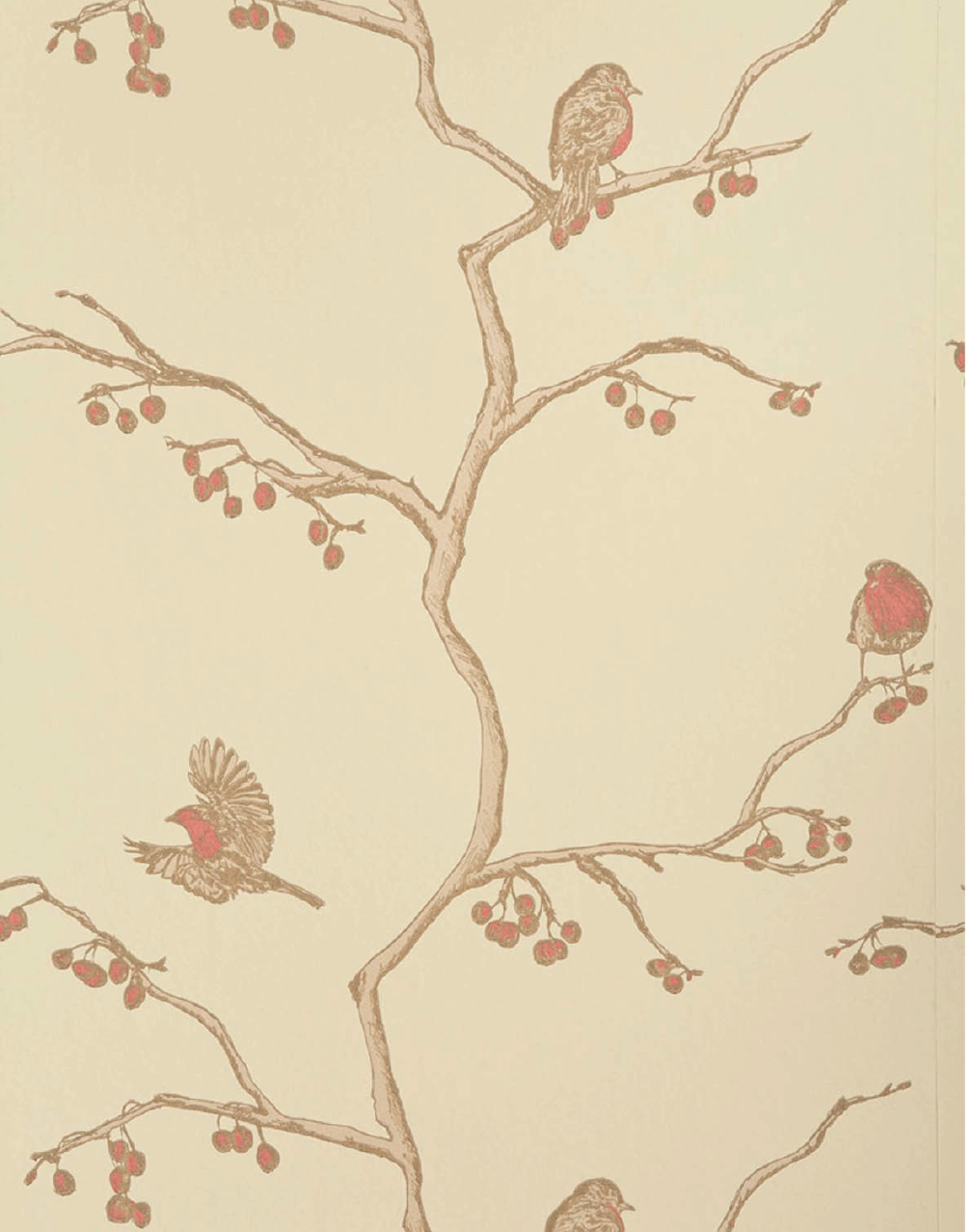The English Robin, Parchment – The Pattern Collective