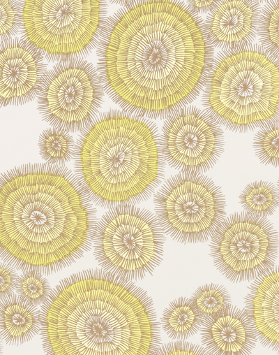 Burst, Yellow – The Pattern Collective