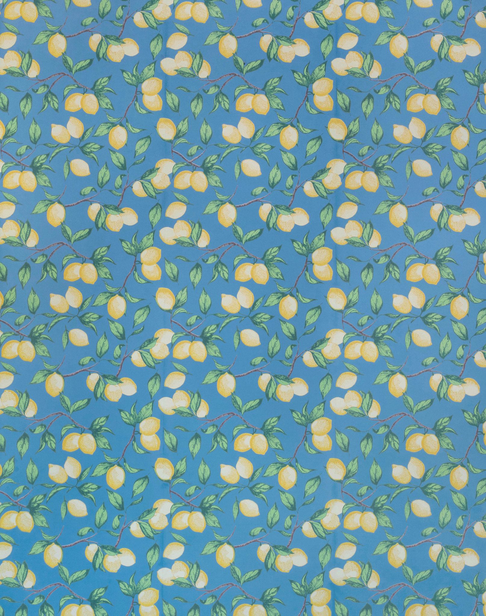 Capri Lemons, Azure Blue – The Pattern Collective