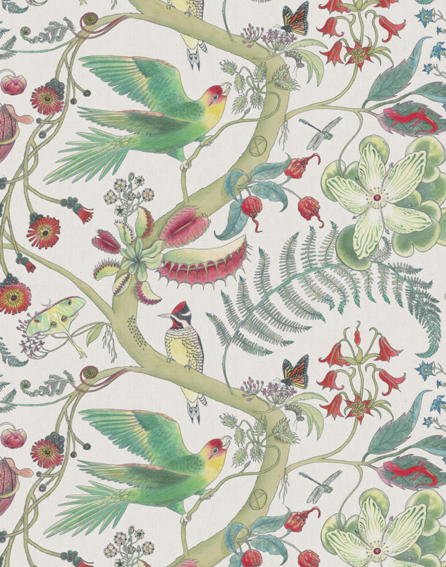 Carolina Parakeets, Cream – The Pattern Collective