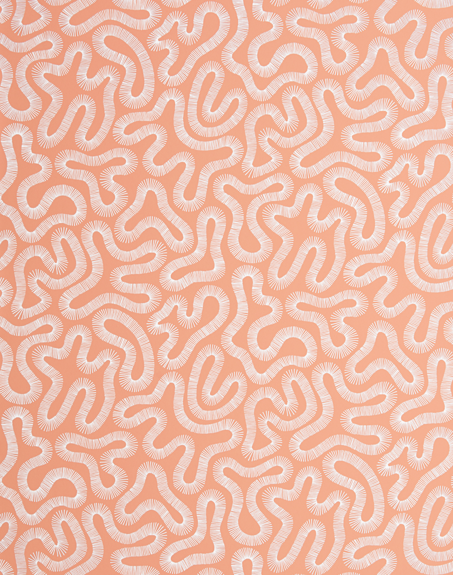 Coral, Peach Blush – The Pattern Collective