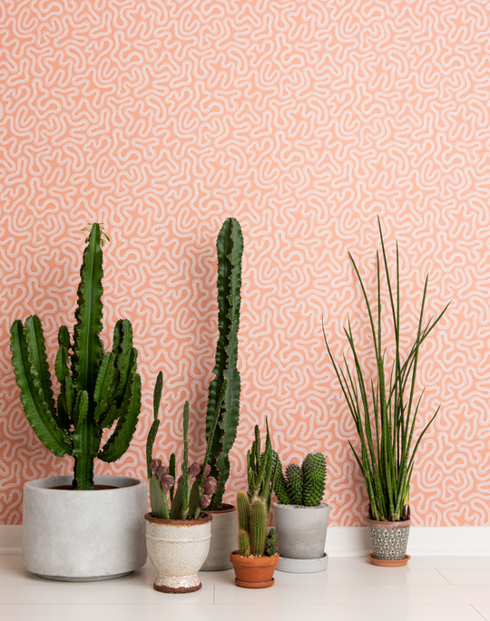 Coral, Peach Blush – The Pattern Collective