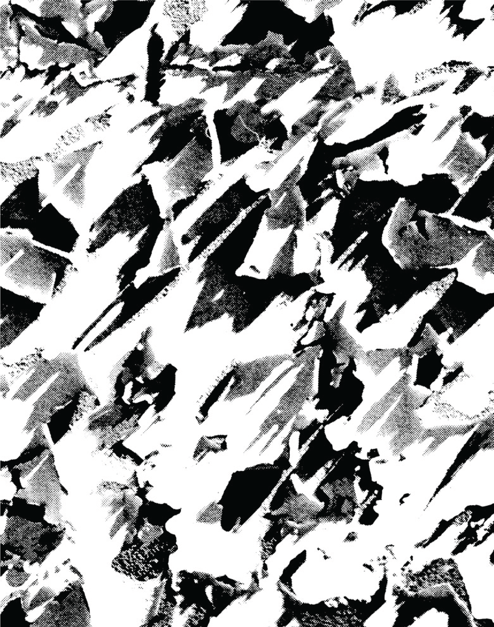 Desert, Black & White – The Pattern Collective