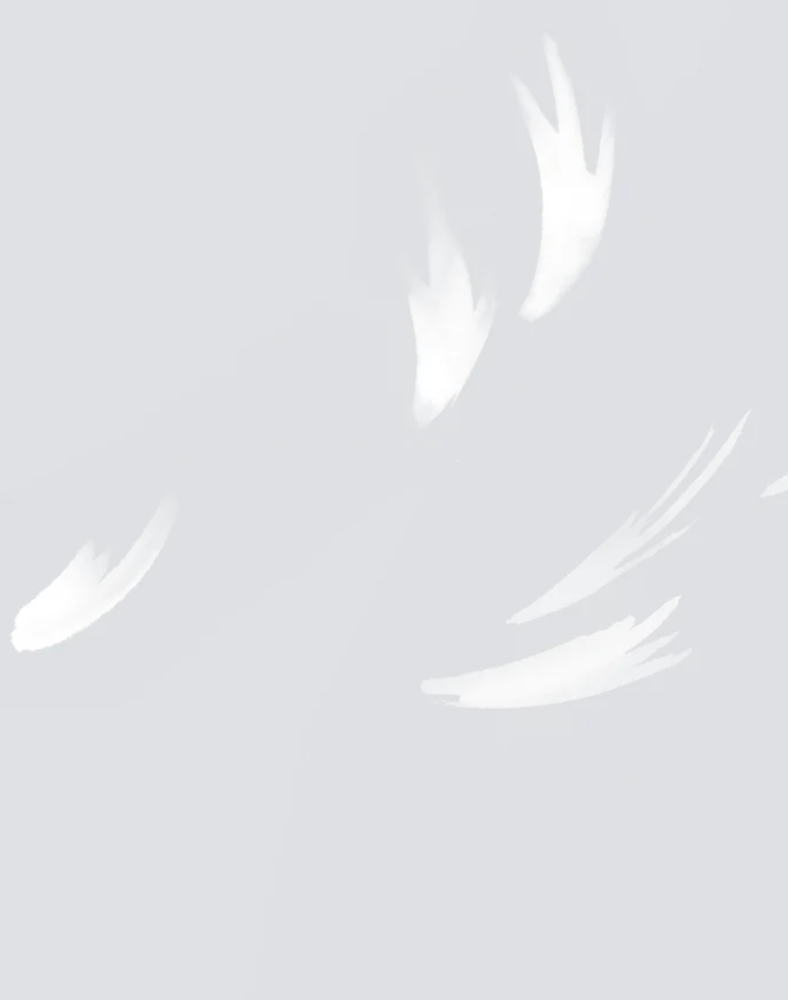 Falling Feathers White Background