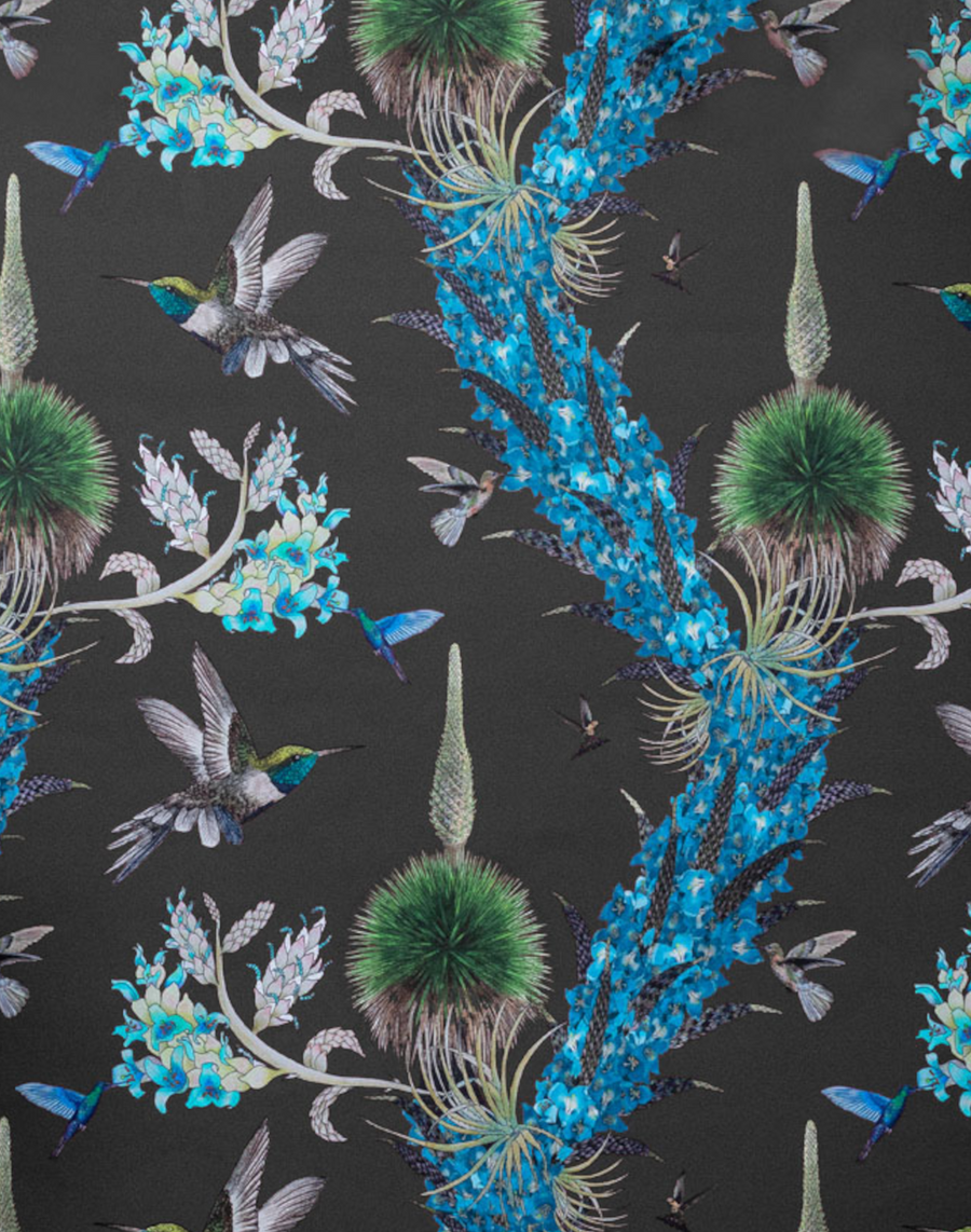 Madidi Hummingbirds, Midnight – The Pattern Collective