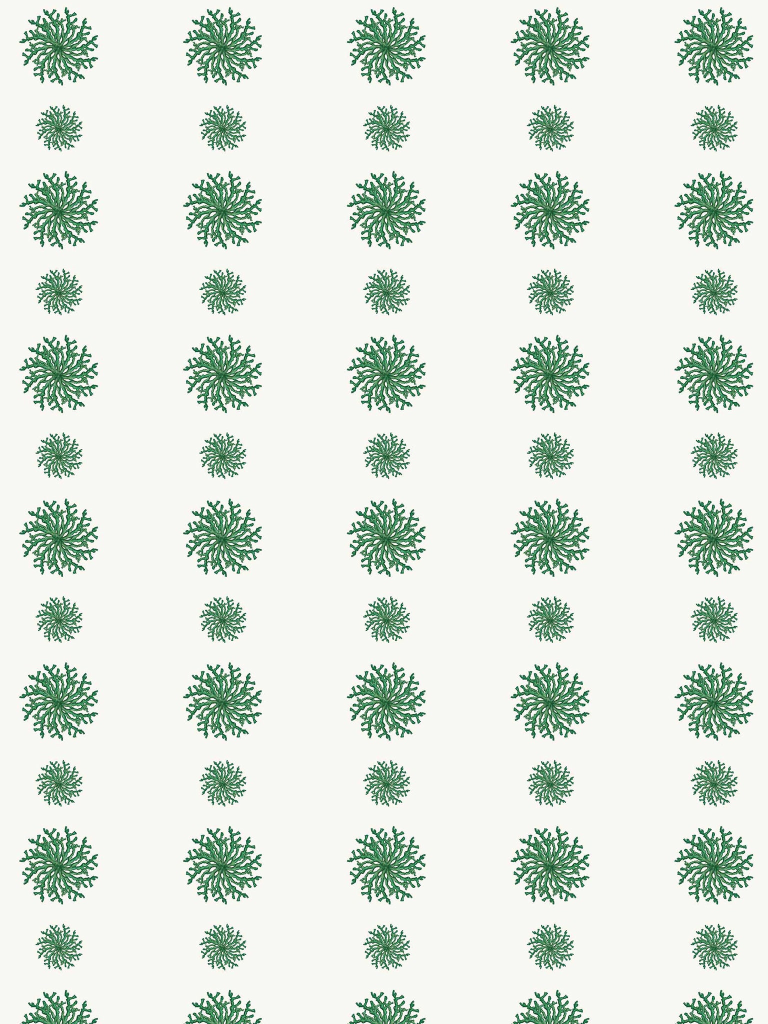 Coral String – The Pattern Collective