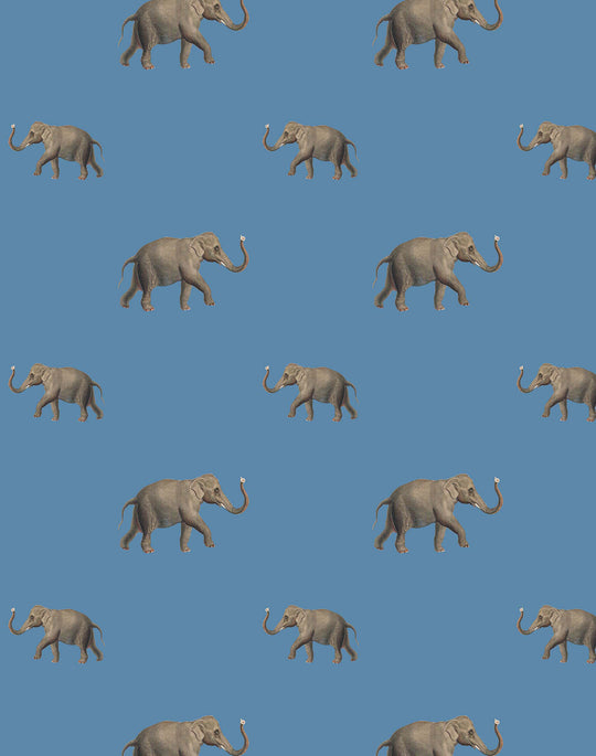 Eli, Dark Blue – The Pattern Collective