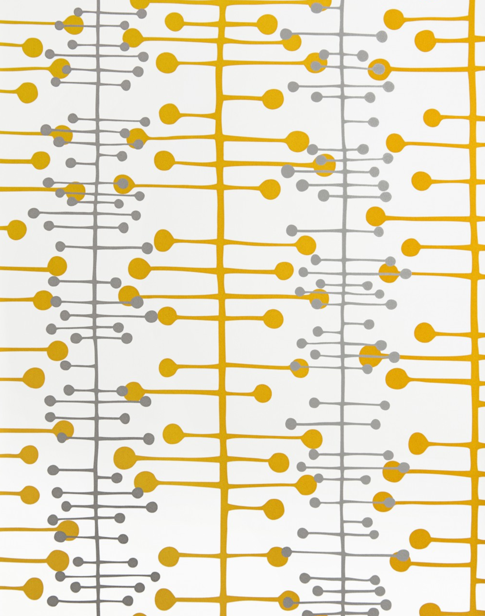 Muscat, Switch – The Pattern Collective