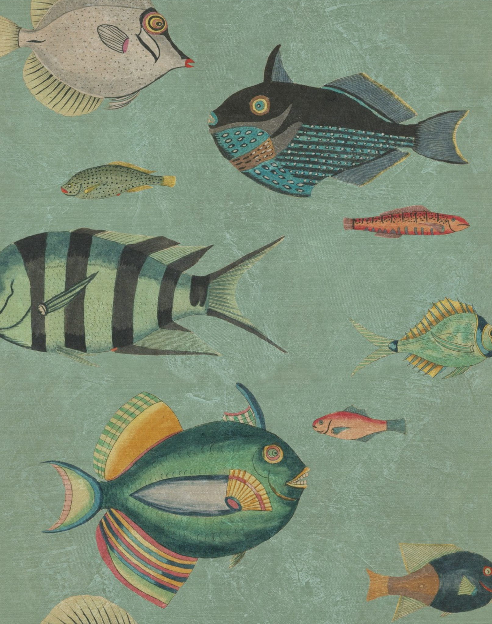 Poissons – The Pattern Collective