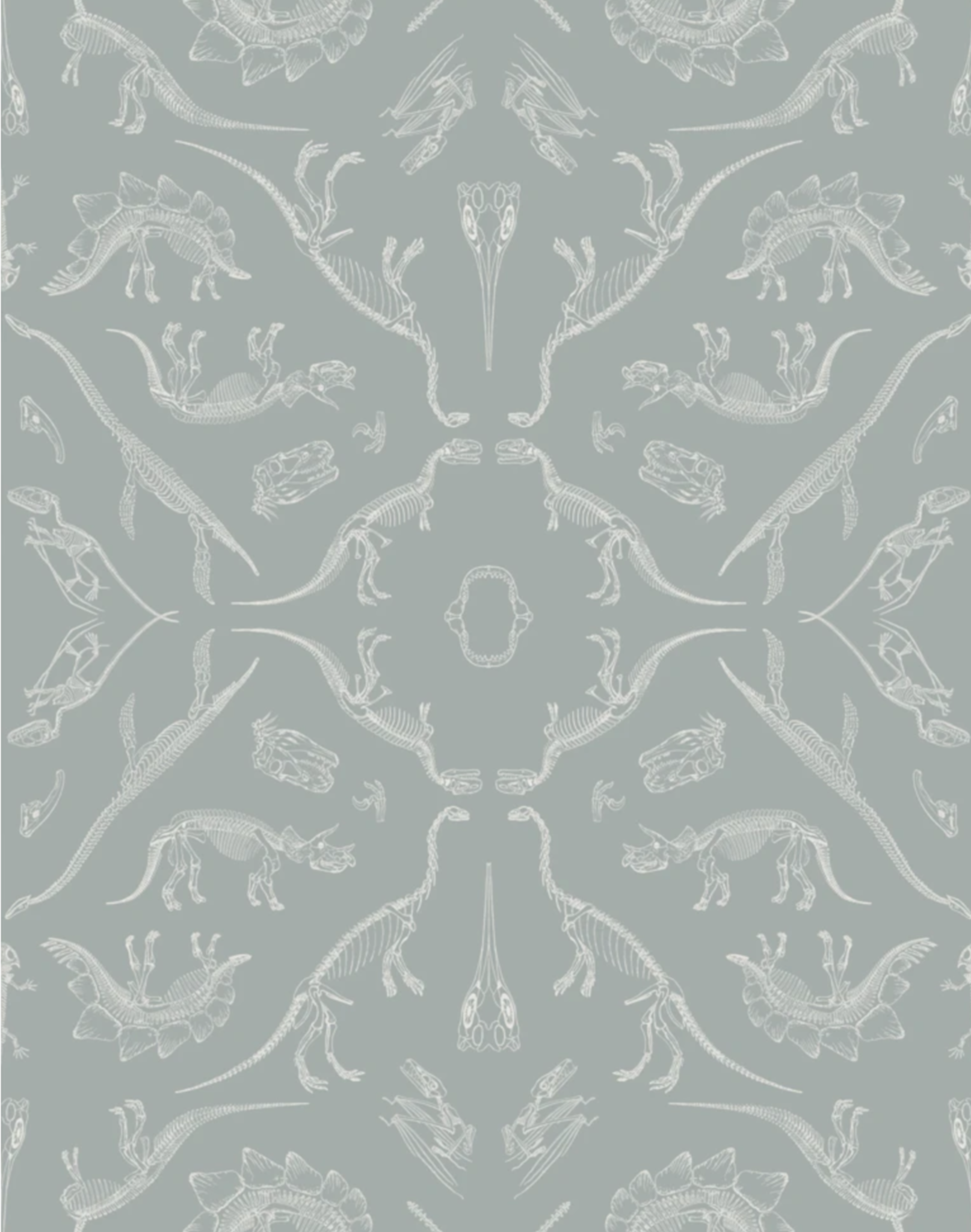 Prehistoria, Fossil – The Pattern Collective