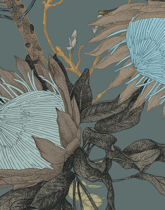 Proteas' Dream, Conure Blue – The Pattern Collective