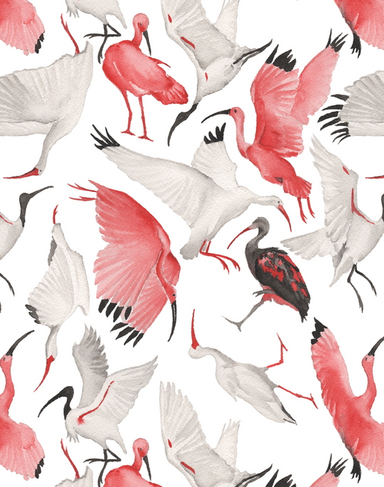 Scarlet and White Ibises, Full Scale – The Pattern Collective