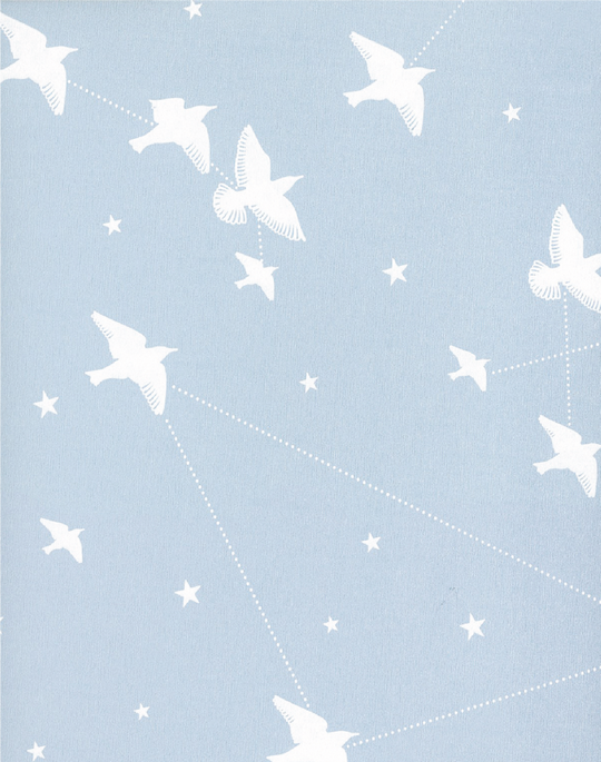 Starling, Powder Blue – The Pattern Collective