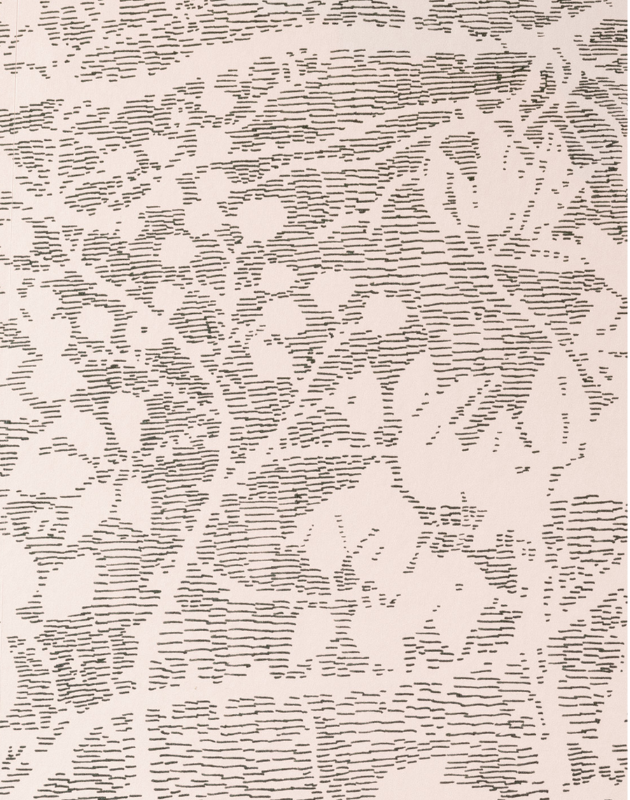 Thicket, Daylight – The Pattern Collective