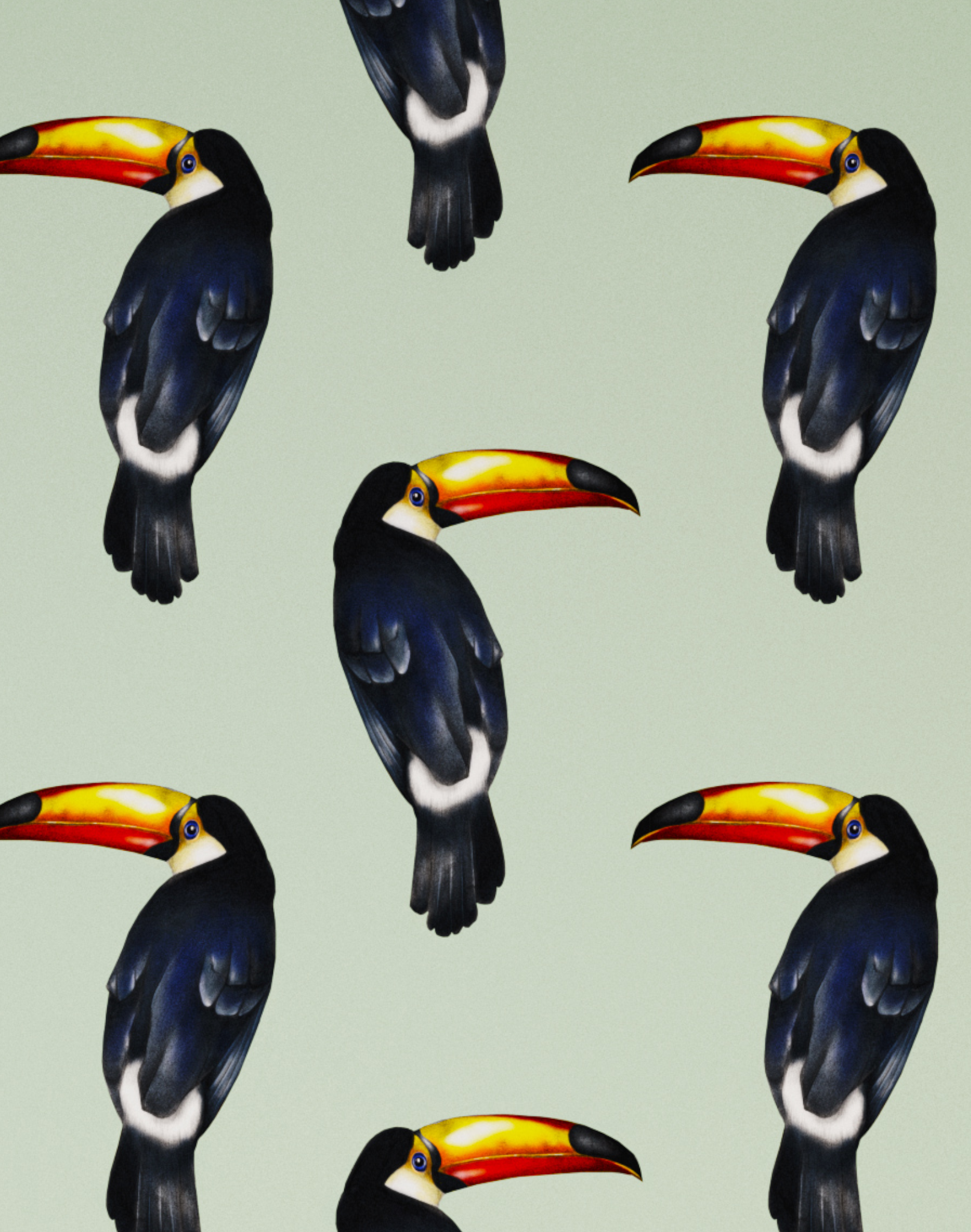 Toco Loco – The Pattern Collective