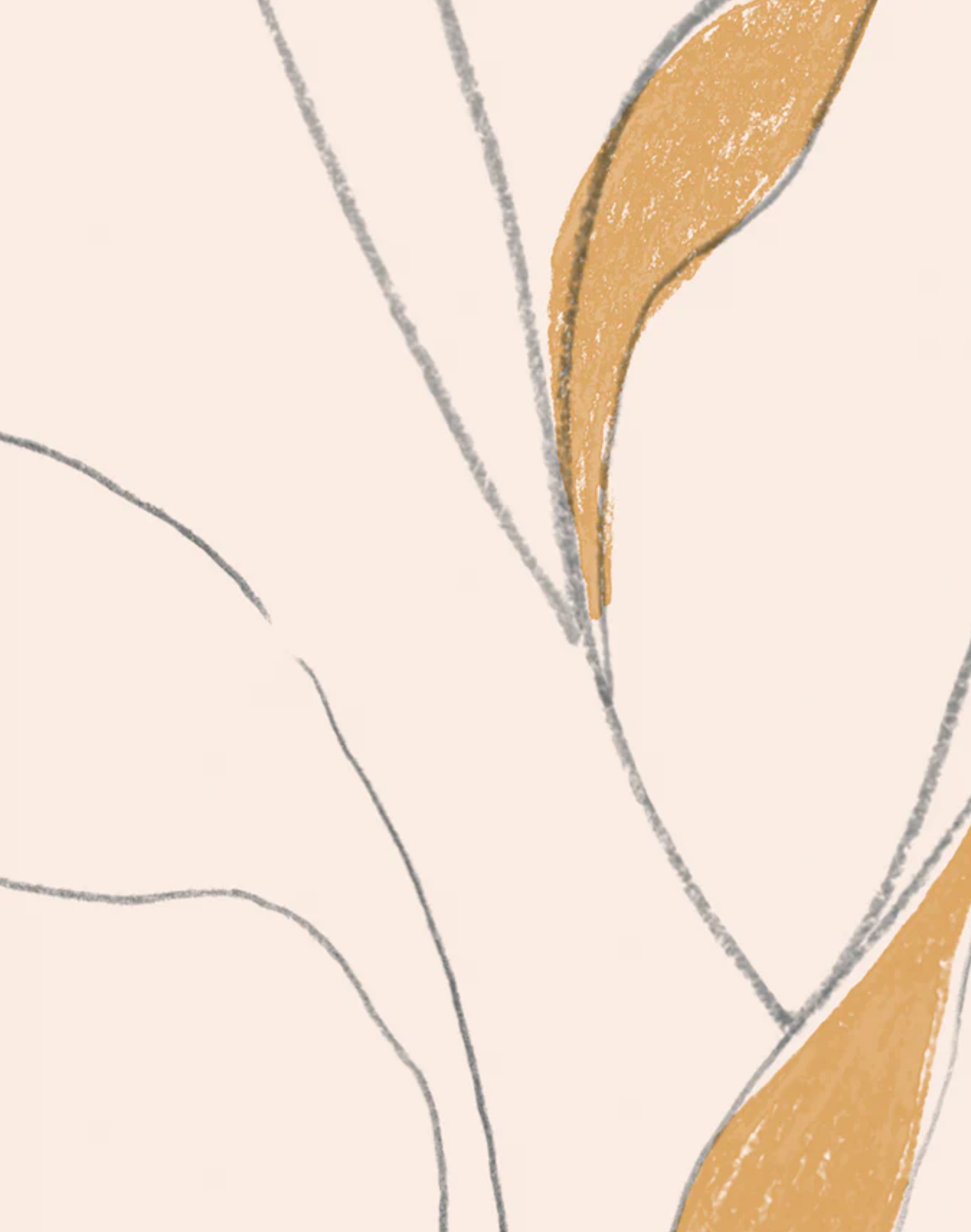 Vine, Breath – The Pattern Collective